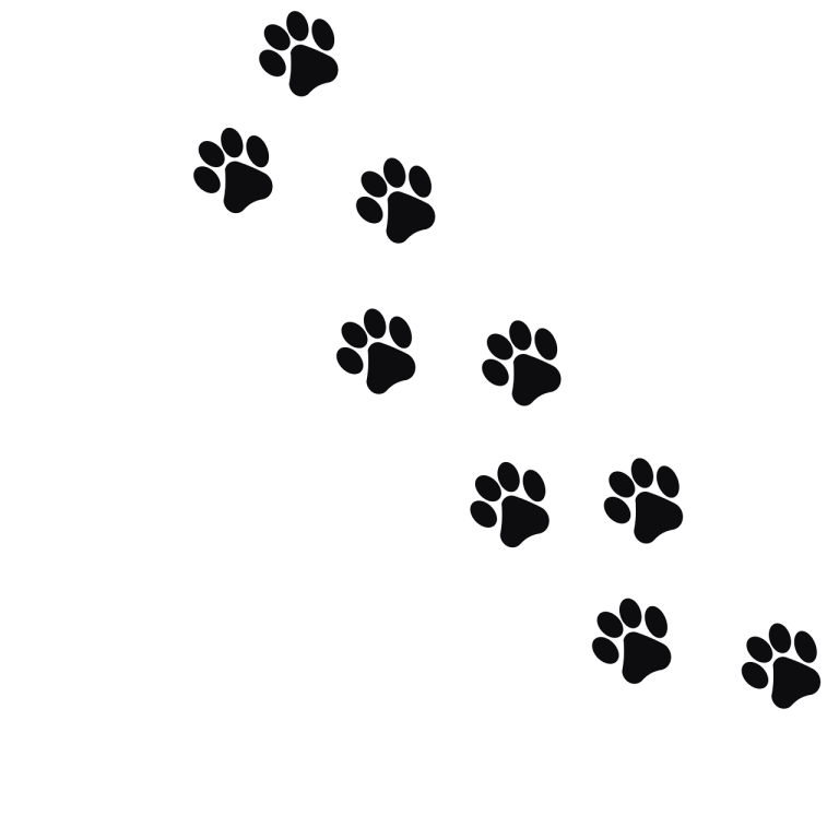 Les méthodes de calcul du bilan carbone expliquées